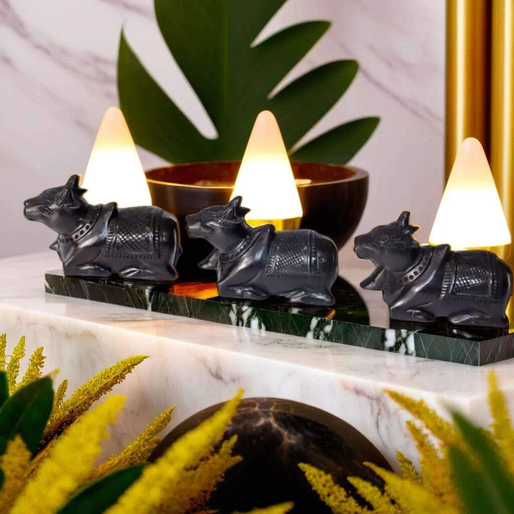 "Consecrated Ebony Nandi – Blessed with Vedic Rituals and Divine ...